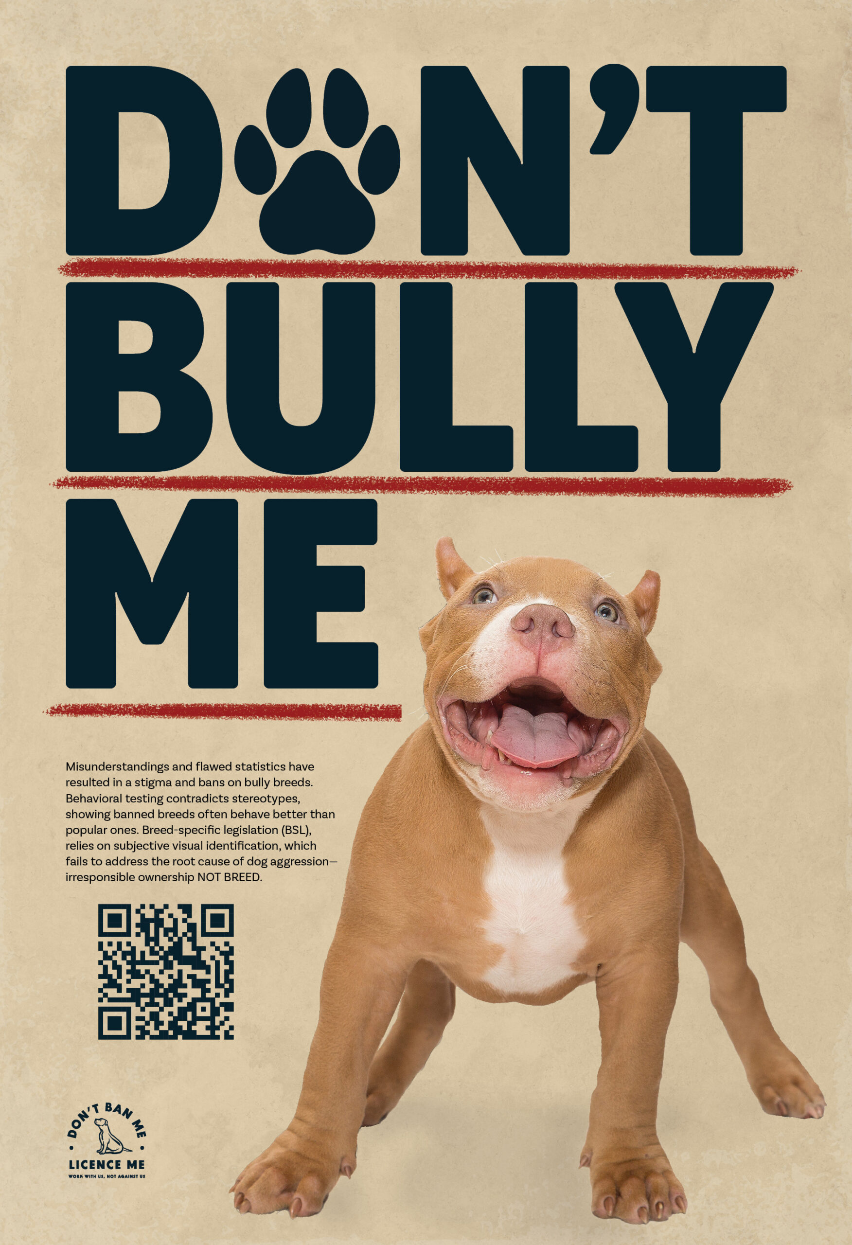 Bully Ban Poster Campaign – Ryan Bracewell Design